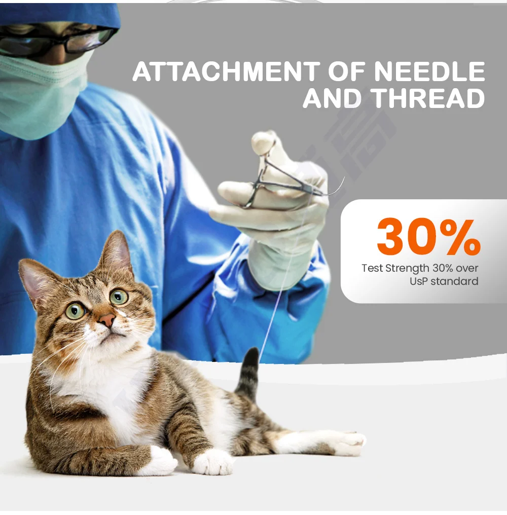 Pga Pet Sutures Disposable Surgical Sterilized Suture Medical ...