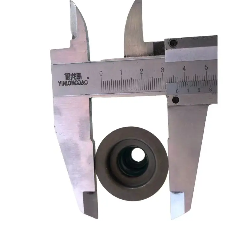 Truck Cng Lng Natural Gas Weichai Wp13 Engine Parts Valve Oil Seal ...