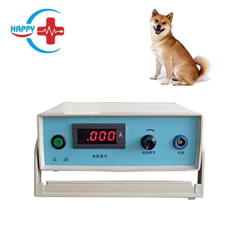 Trichiasis In Dogs