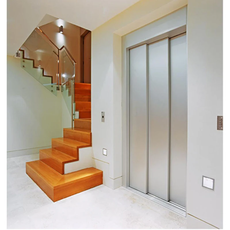 Cheap 200kg Traction Home Elevator Lift Price Stainless Steel 304 3 ...