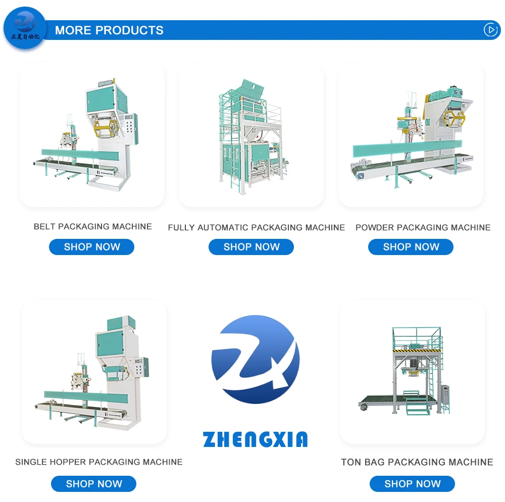 Automatic Bag Packing Machine 10kg 20kg 50kg - High-speed