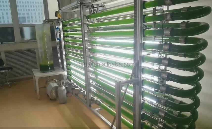 Microalgae Photobioreactor Tubular Reactor For Algae - Buy ...