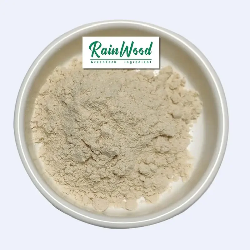 Food Grade Squid Powder - Health Supplement & Extract