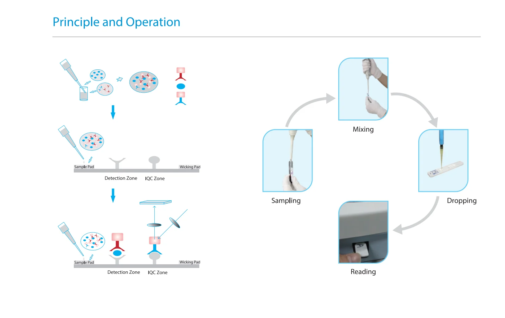 Wondfo Finecare Immunoassay - Portable Chemistry Analyzer