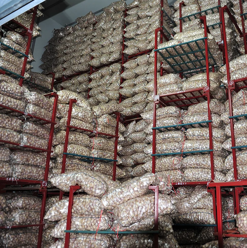 Garlic Factory Peeled Garlic In Vacuum Bag And Jar - Buy Peeled Garlic ...