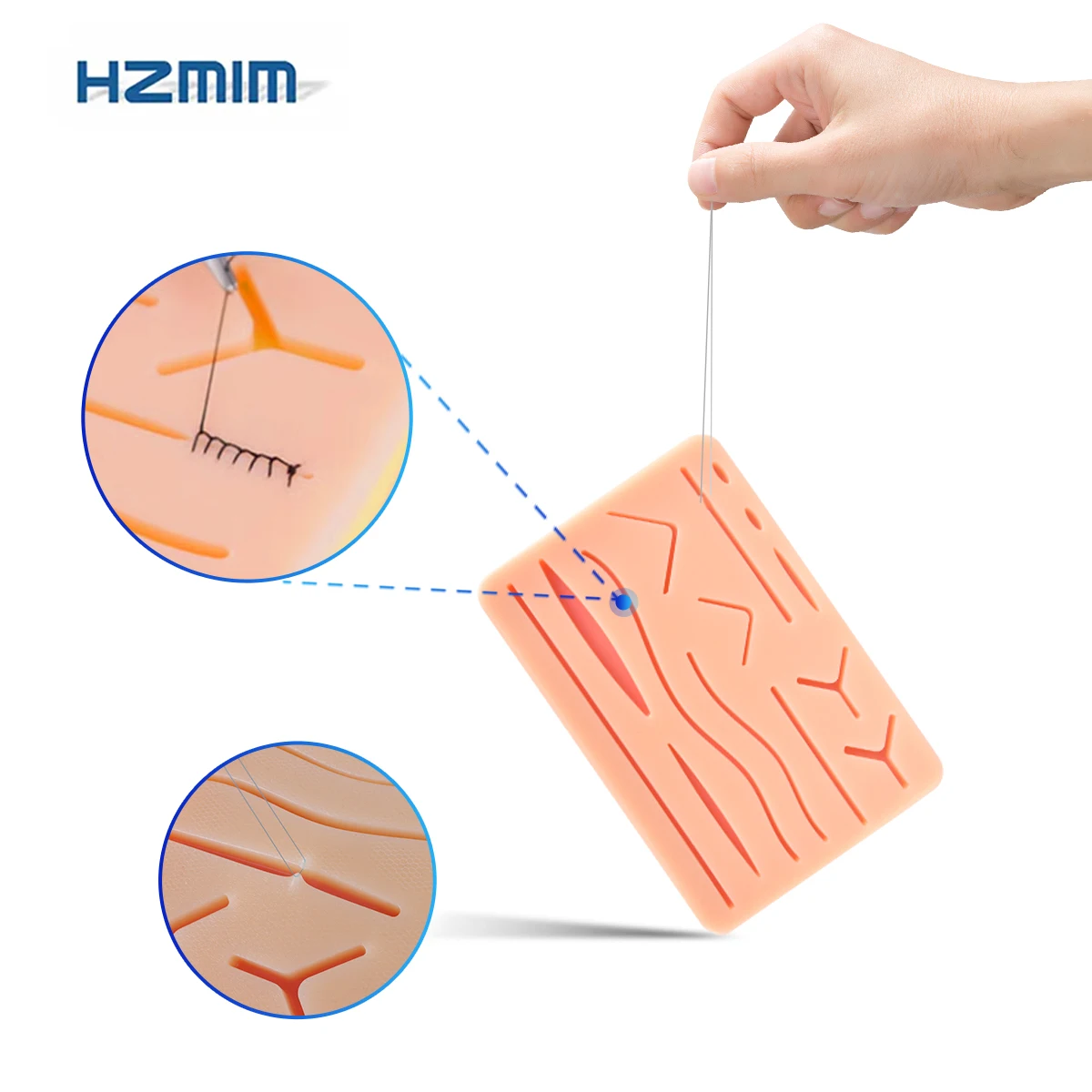 Medical Students' Stainless Steel Dissection Kit Anatomy Surgery Suture ...