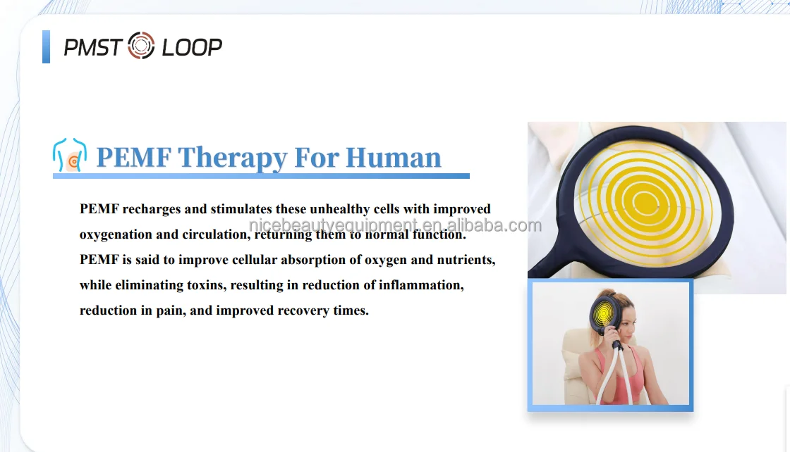 PEMF Human and Horses Pulsed Electromagnetic Field PMST LOOP PRO MAX ...