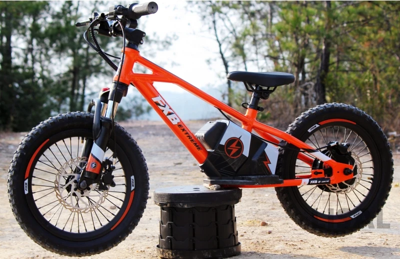 FXB 16inch Kids 2 Wheels Pocket Bike - Electric Fun!