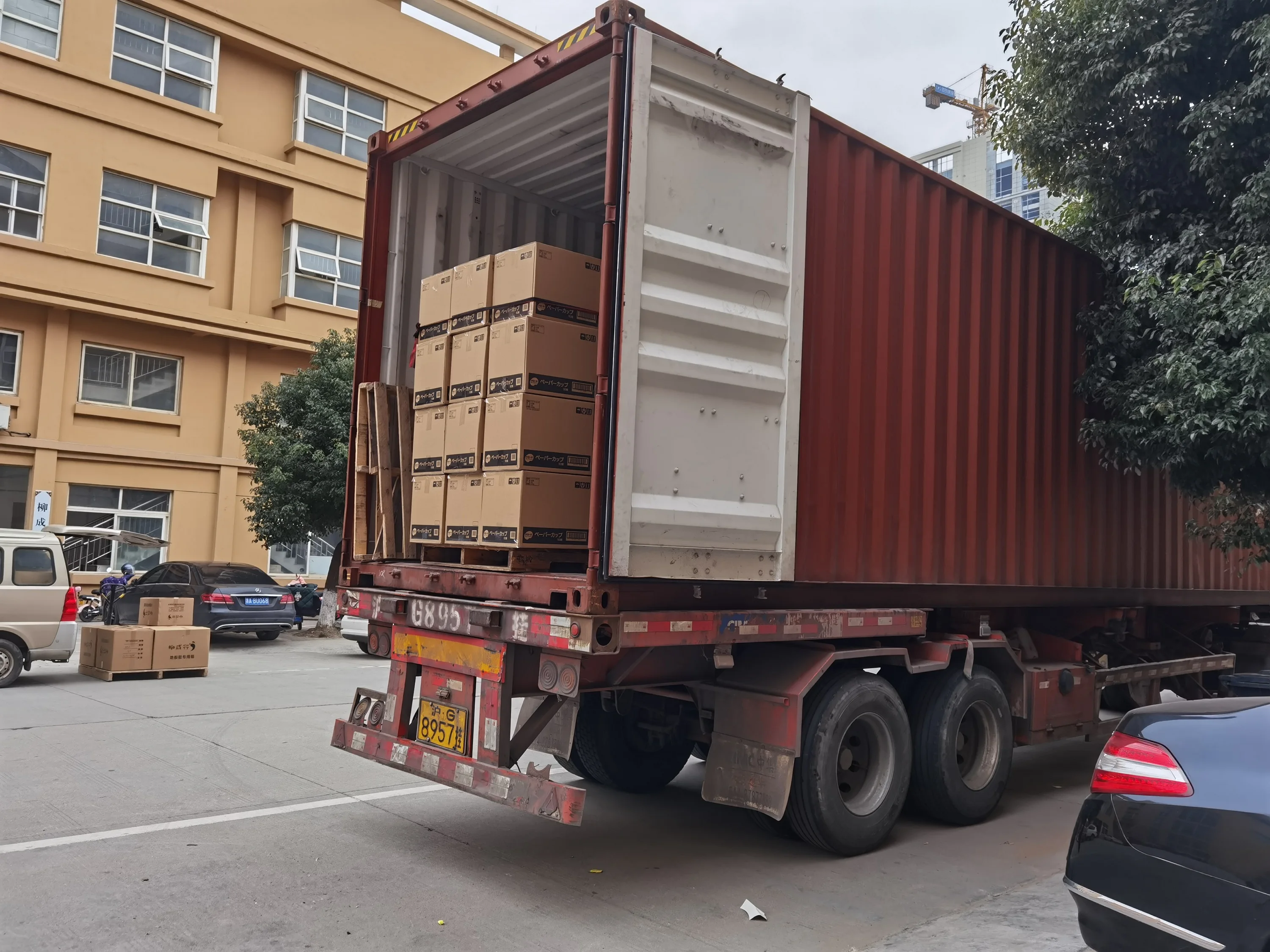 3 Oz Graduated Paper Cups Disposable Pe Coated Medicine Cups Clear ...