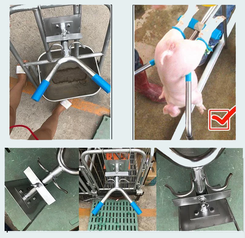 Stainless Steel Pig Castration Piglet Castration Table Piglet ...
