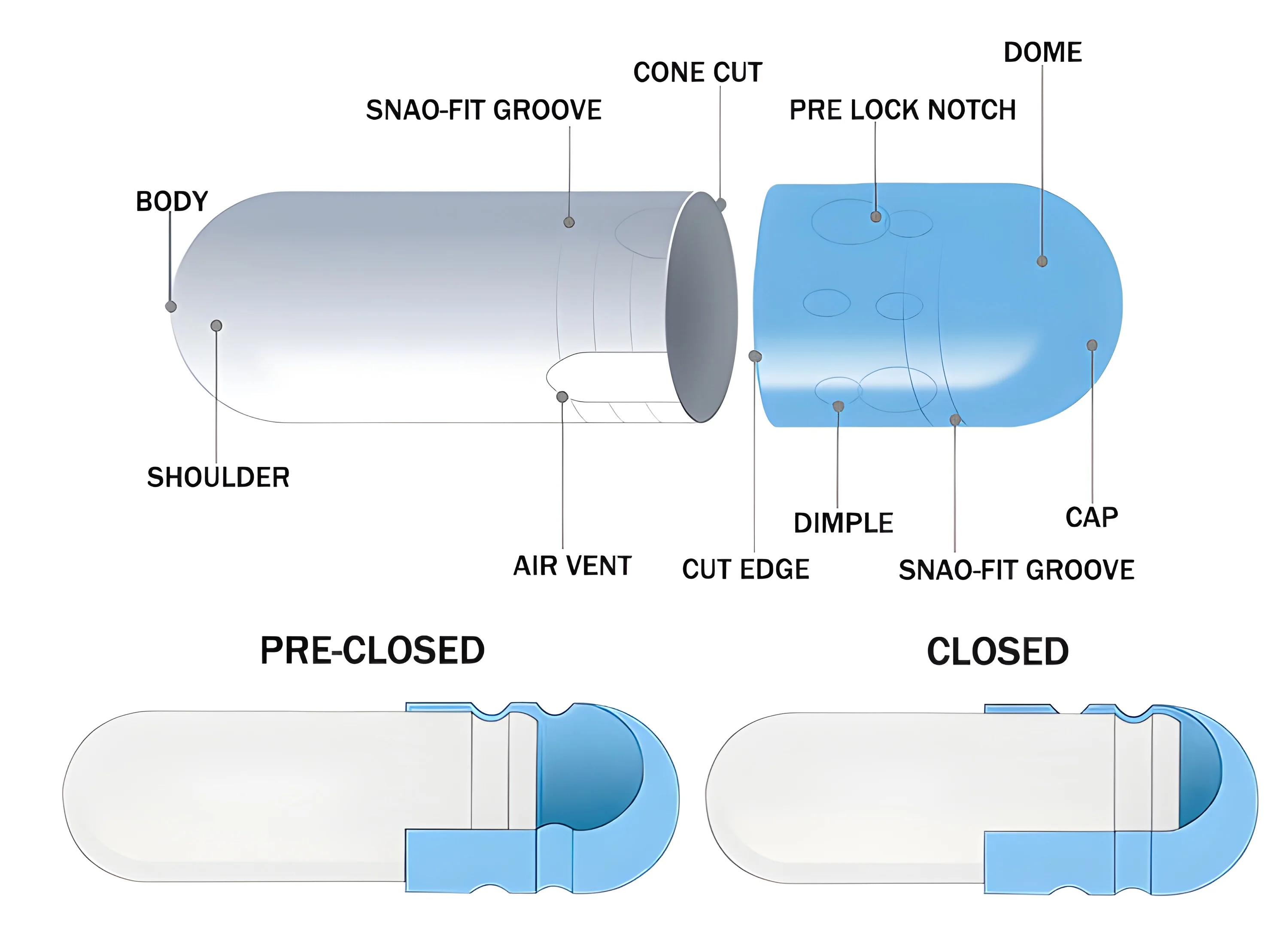 Wecaps Oem/odm Service Empty Separated Clear Hpmc Capsules Empty Tablet ...