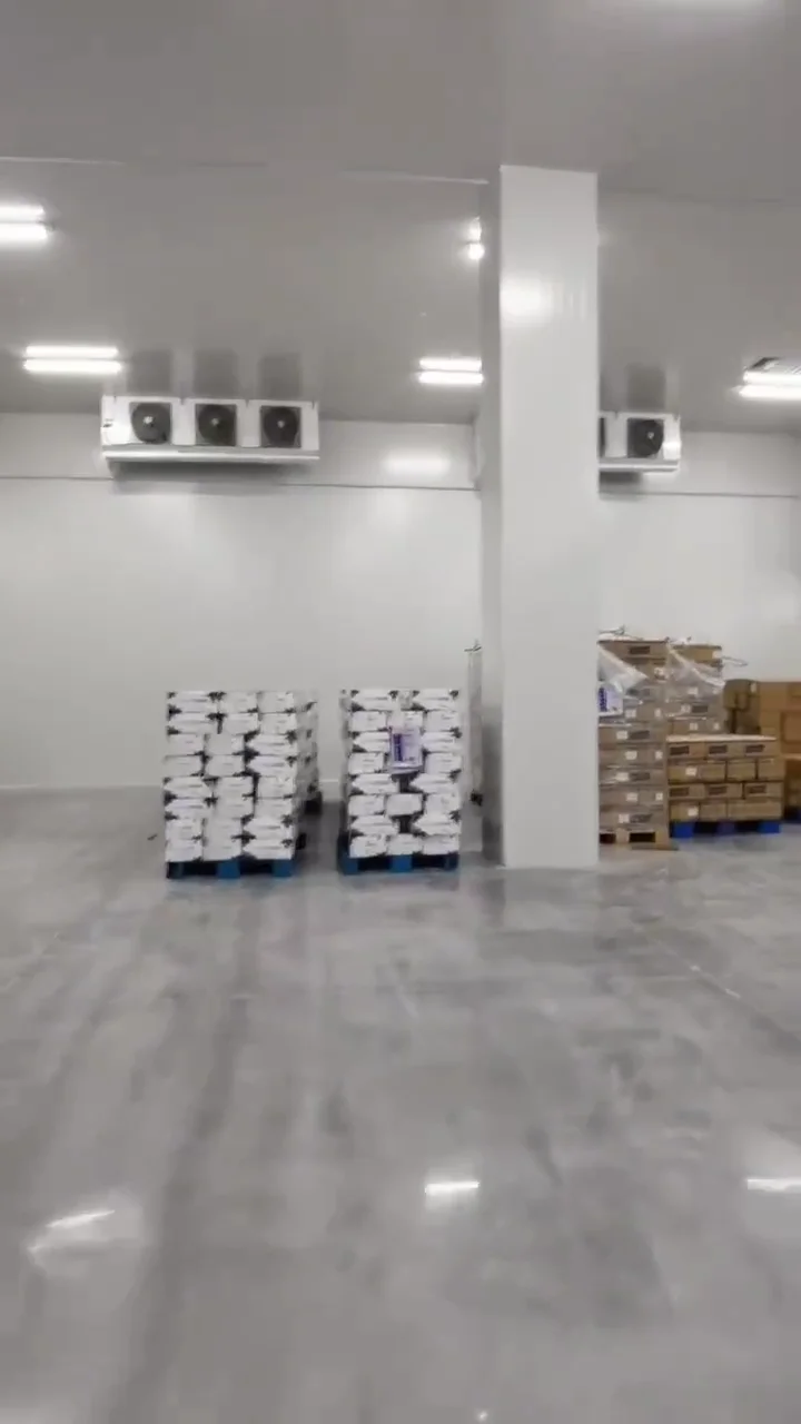 Freezer Room Frozen Chicken Meat Fruits Vegetables Cooling ...