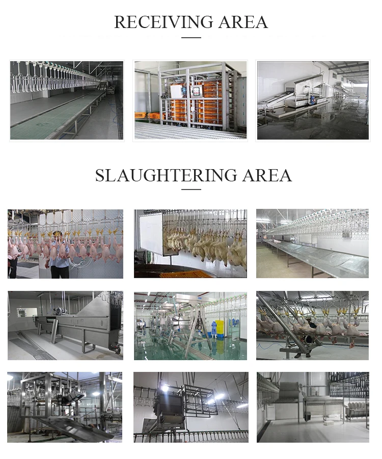 Auto Crates Stacker Destacker for Poultry & Meat Processing