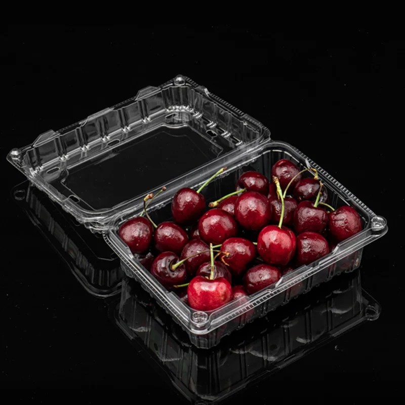 Disposable Plastic Clamshell Fruit Container Pet Blister Take Out ...