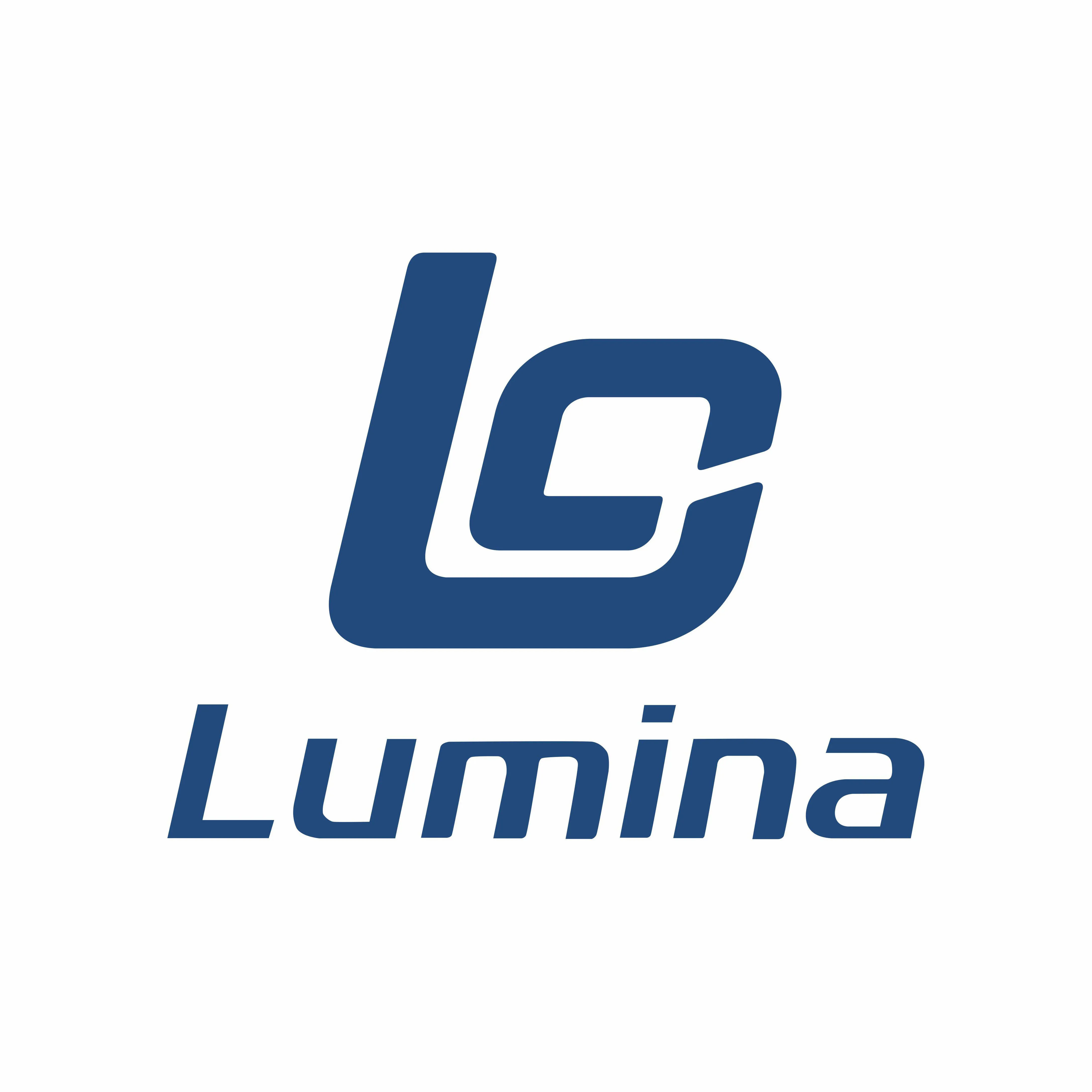 Company Overview - Lumina Technology Co., Ltd.