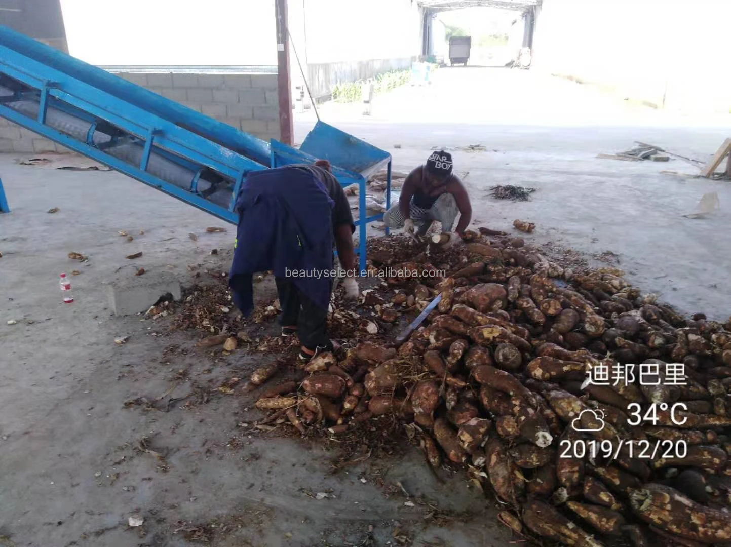 Cassava Tuber Starch Flour Processing Corn Starch Patotos Starch ...