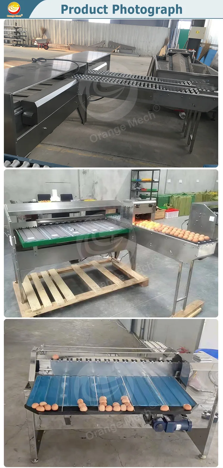 ORME Electronic Automatic Egg Grade Small Scale Chicken Egg Inspection ...