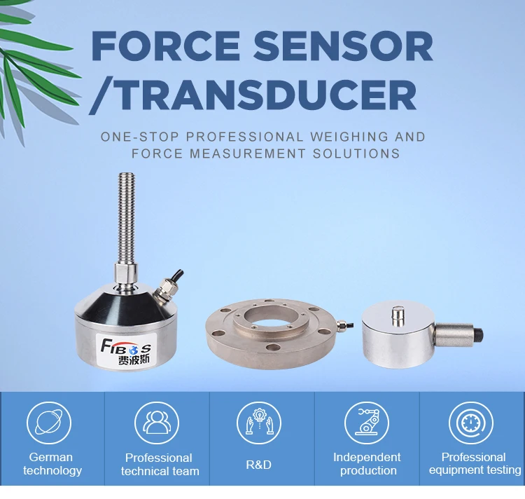 300kg 500kg 1ton 3ton 5ton 10ton 15ton 20ton 30ton 45ton Miniature Ring ...