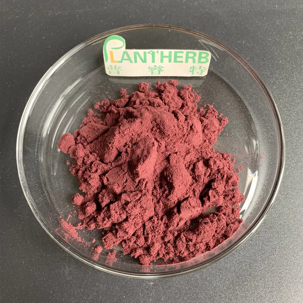 Organic Cranberry Anthocyanins 25% Procyanidins Cranberry Extract - Buy ...