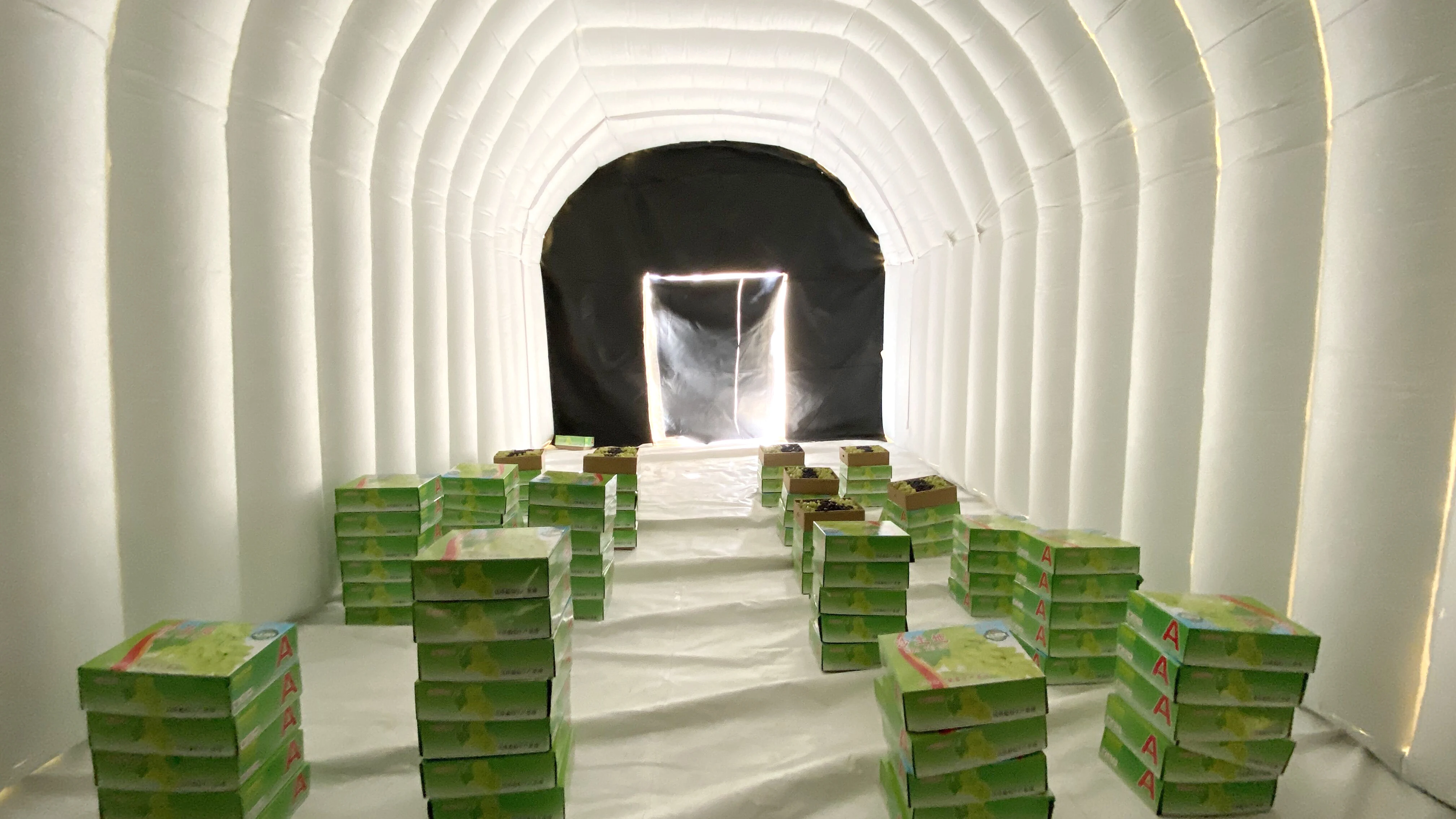 Fresh Keeping Storage For Fruits And Vegetables By Air Membrane ...