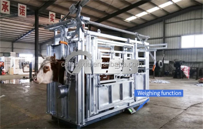 High Efficiency Hydraulic Cattle Squeeze Chute for Farms