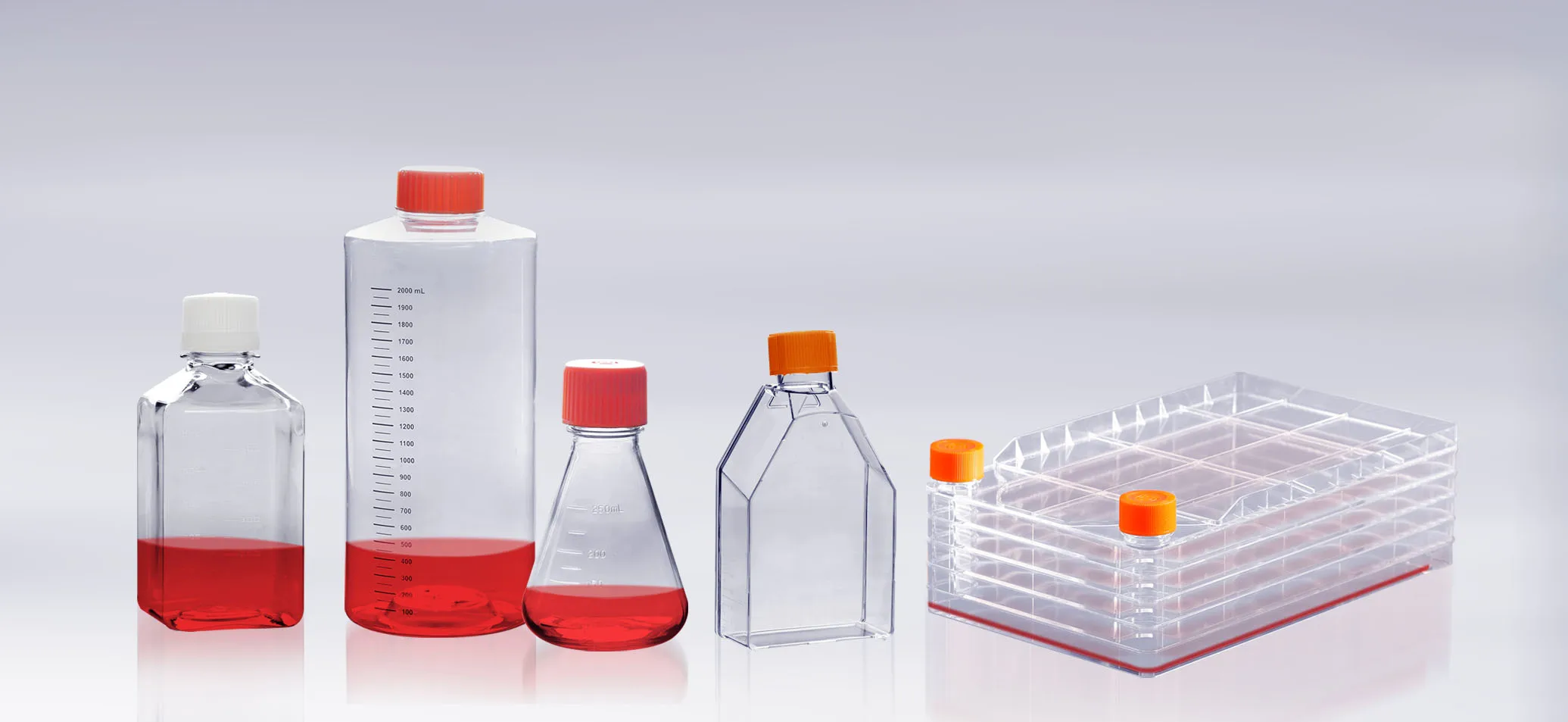 Factory Price Disposable Plastic Polystyrene Cell Culture Consumables ...