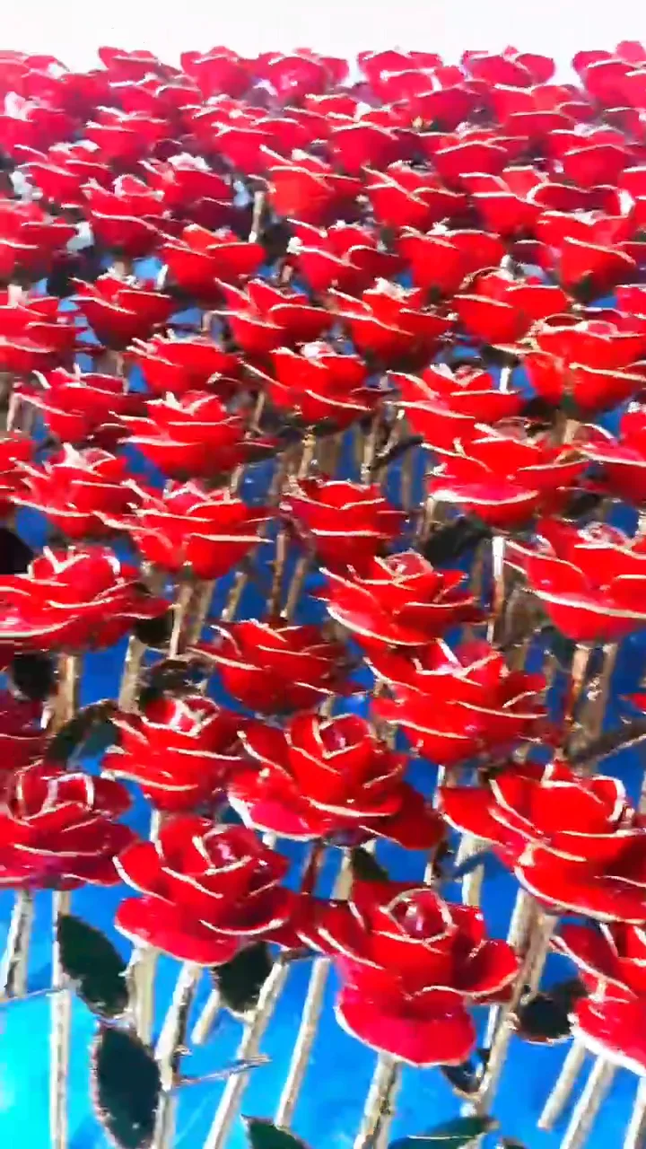 H0662 Golden Dipped 24k Gold Rose Preserved Rose Real Craft Valentine ...