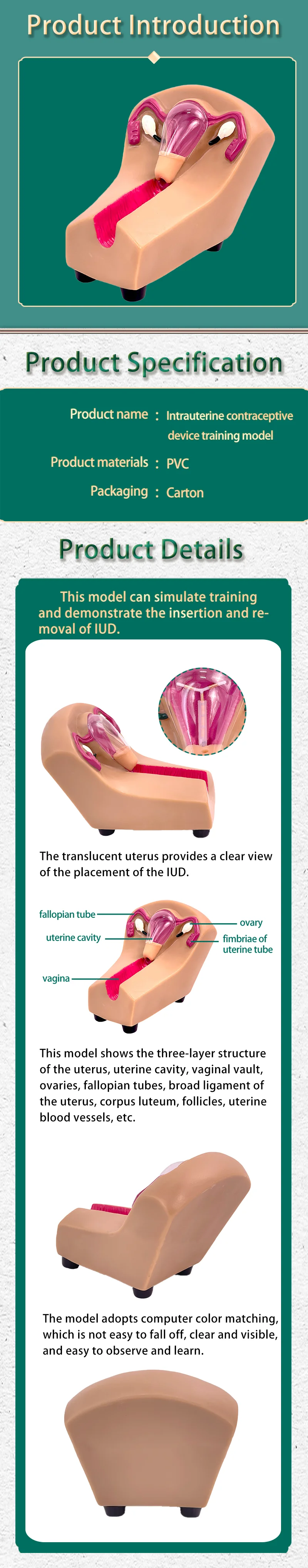 Female Intrauterine Contraception Teaching and Training Guidance Model ...