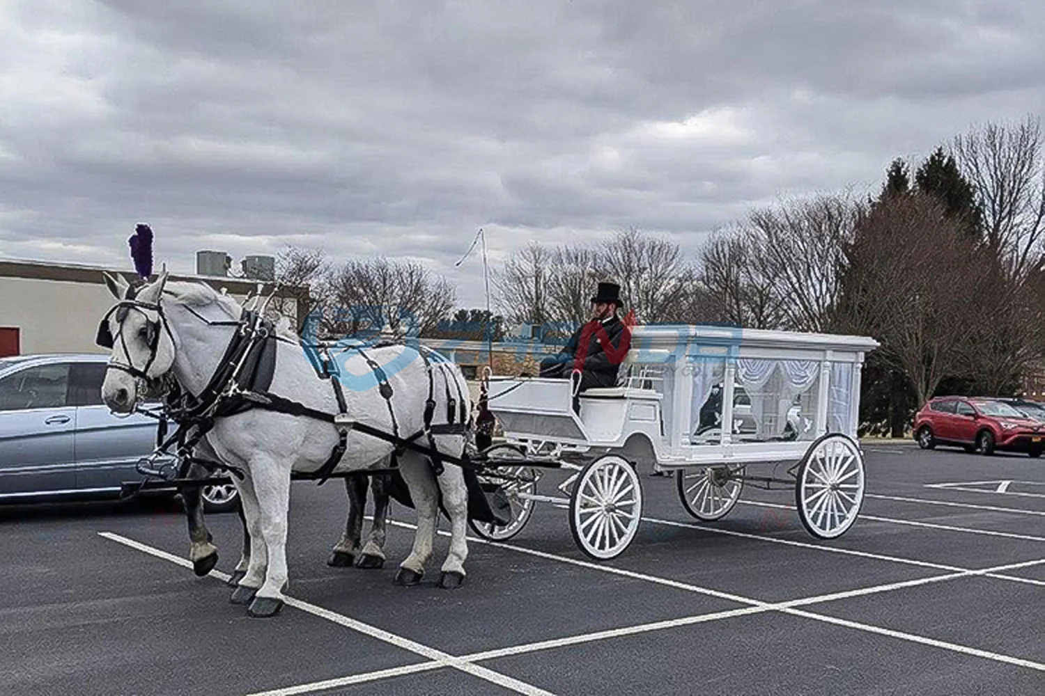 High Quality Chariot Horse Drawn Hearse for Sale/Funeral Buggy Electric ...