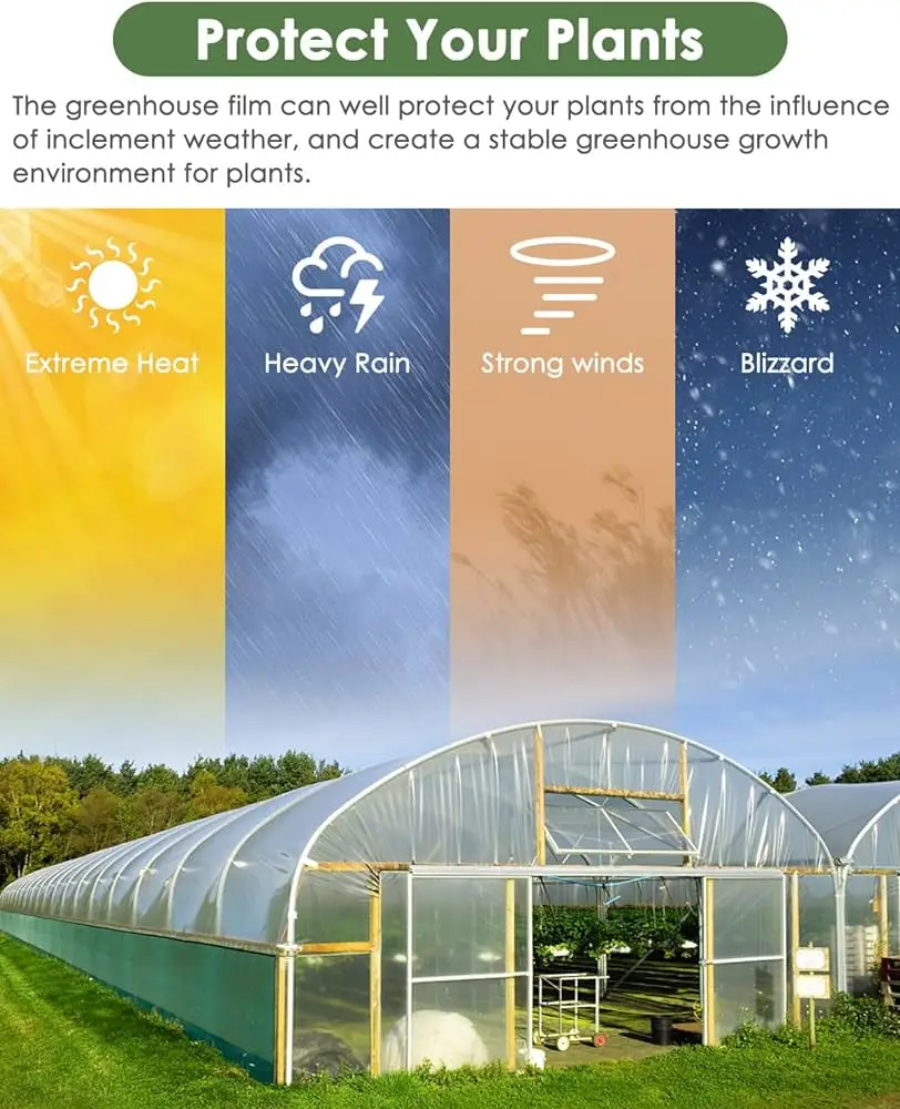 200 Micron Greenhouse Film Wholesale Thick Polyethylene Film 6 Mil ...