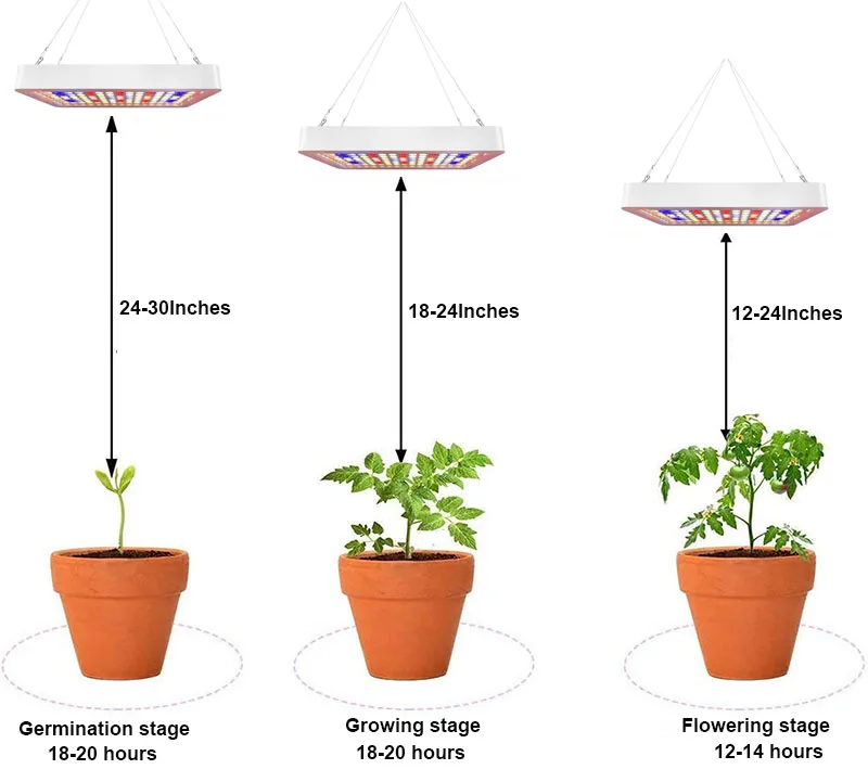1000W 3H/12H/18H Timing LED Grow Light Sunlike Full Spectrum Growth ...
