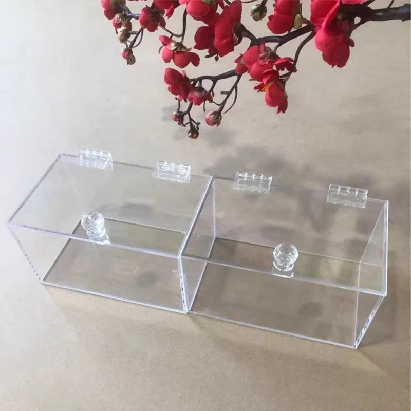 Secure Your Currency with Custom Acrylic Trays