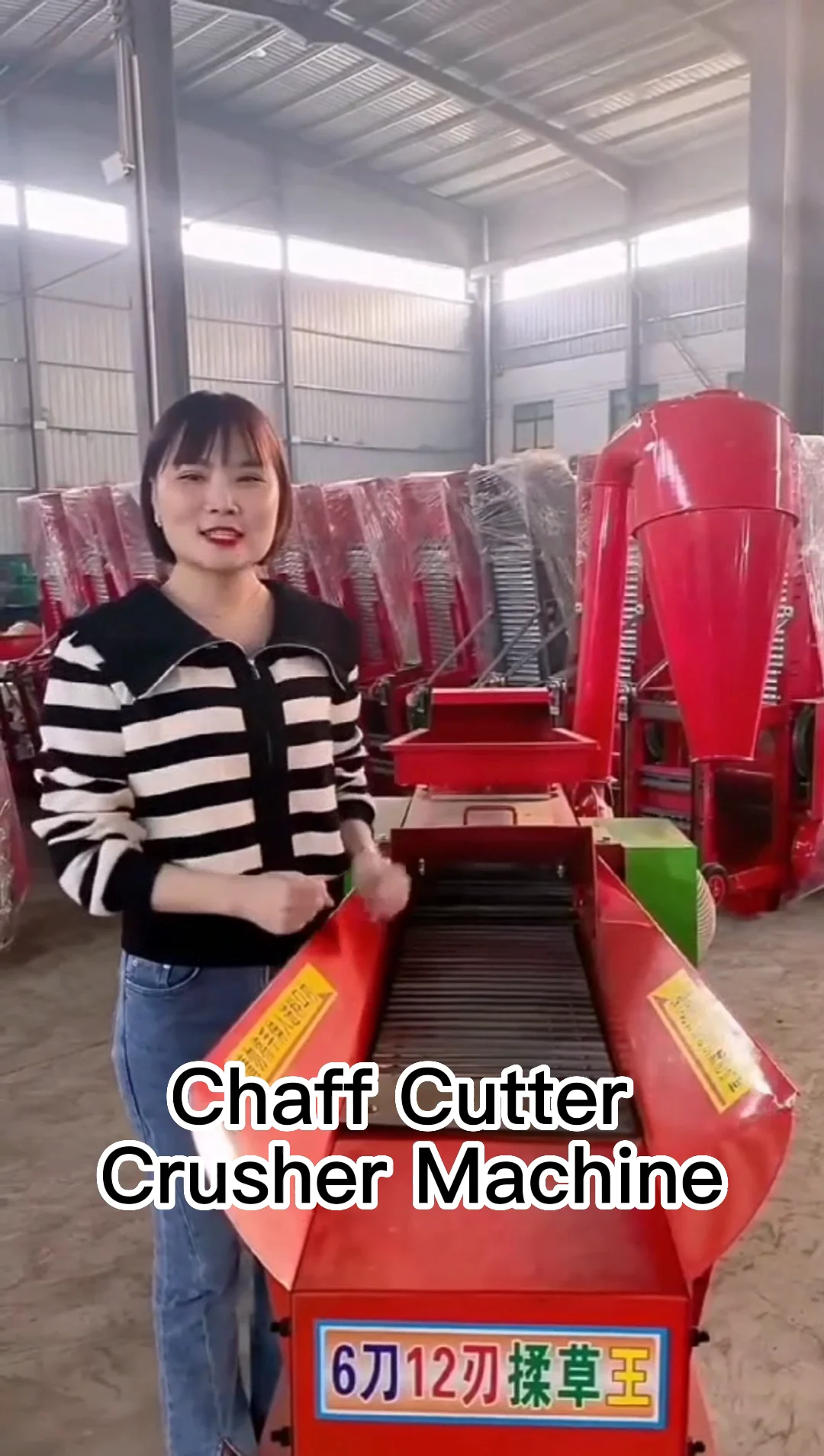 Farms-use 4800 Kg/h Feed Processing Machines Wheat Straw Peanut Straw ...