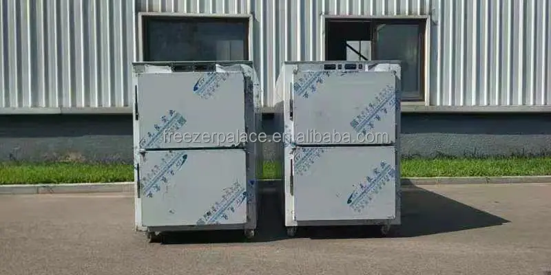 Large Selection Of Mortuary Coolers And Freezers Forensic Lab And ...