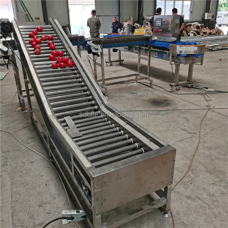 Size Classification Vegetable Selection Machine Sorter Mango Grading ...