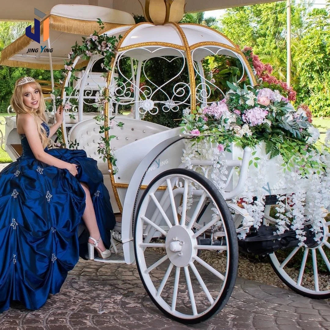 Sightseeing Tourist Horse Drawn European Horse Carts Wagon Carriage ...