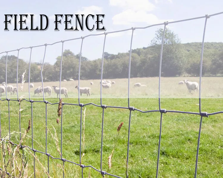 4ft 5ft 6ft 8ft Height Hot Dipped Galvanized Farm Field Fence for Horse ...