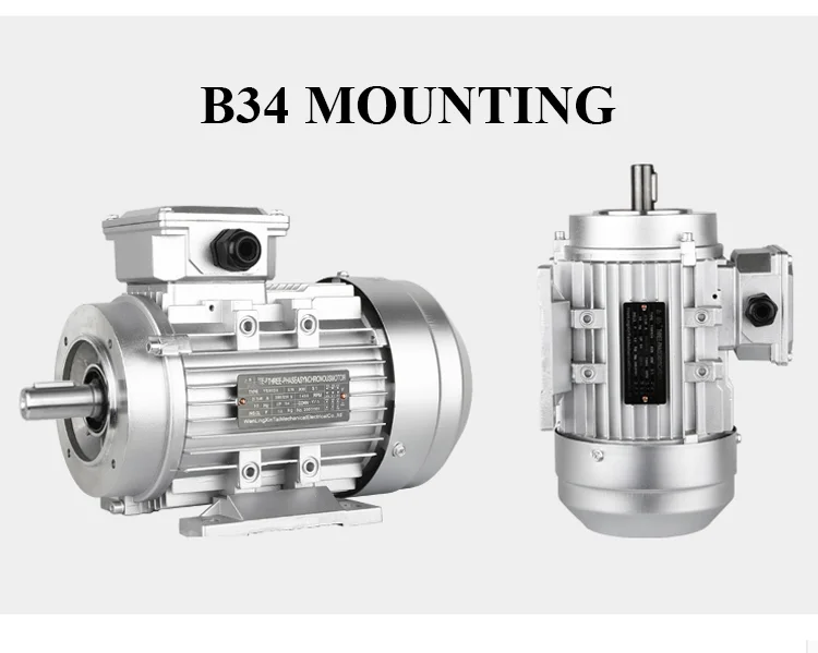 6 Polos RPM Electric Motors - Small AC Motors with Gearbox