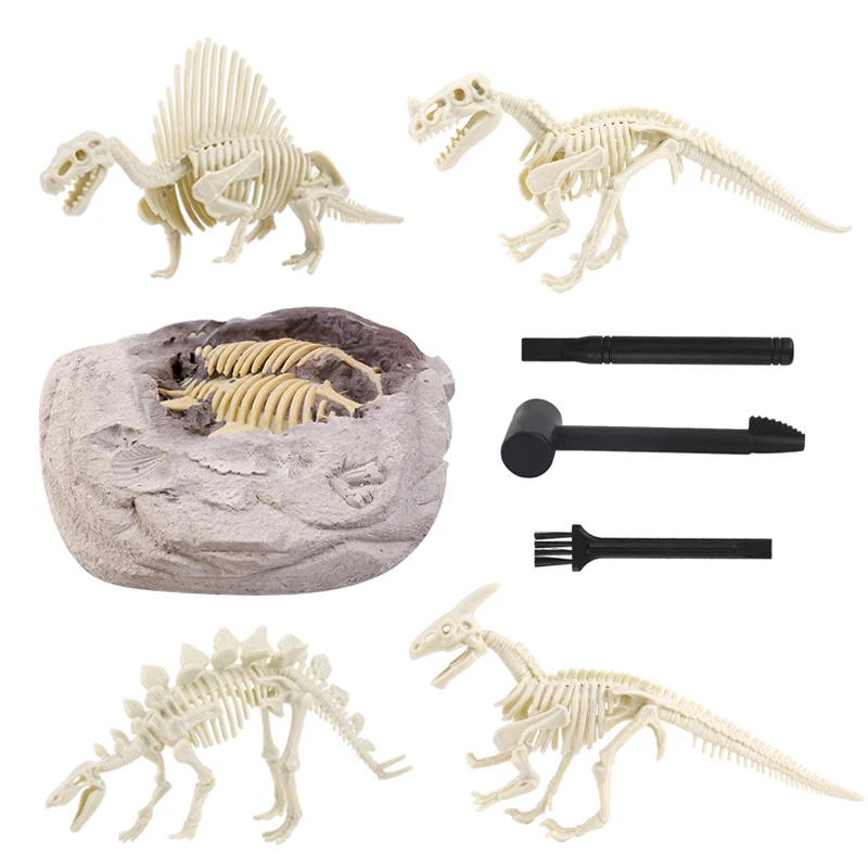Dig Out Dinosaur Skeleton Model Dino Fossil Dig Kit Dinosaur Excavation ...