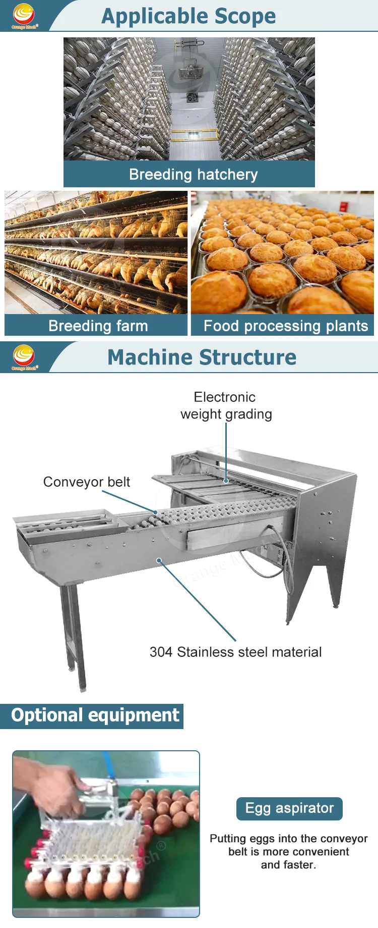 ORME Electronic Automatic Egg Grade Small Scale Chicken Egg Inspection ...