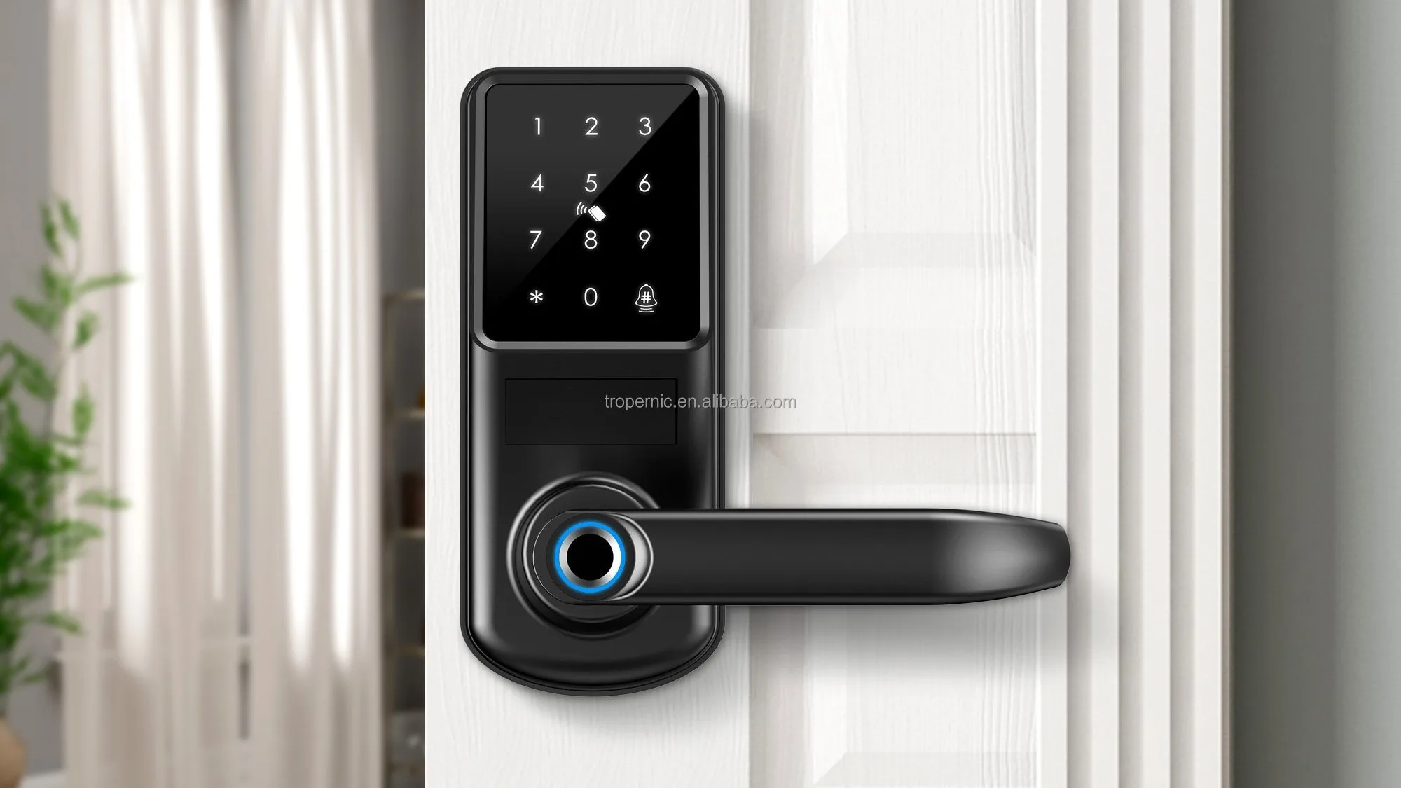 Tuya Push Pull Office Glass Handle Audio Ttlock App Keyless Digital ...