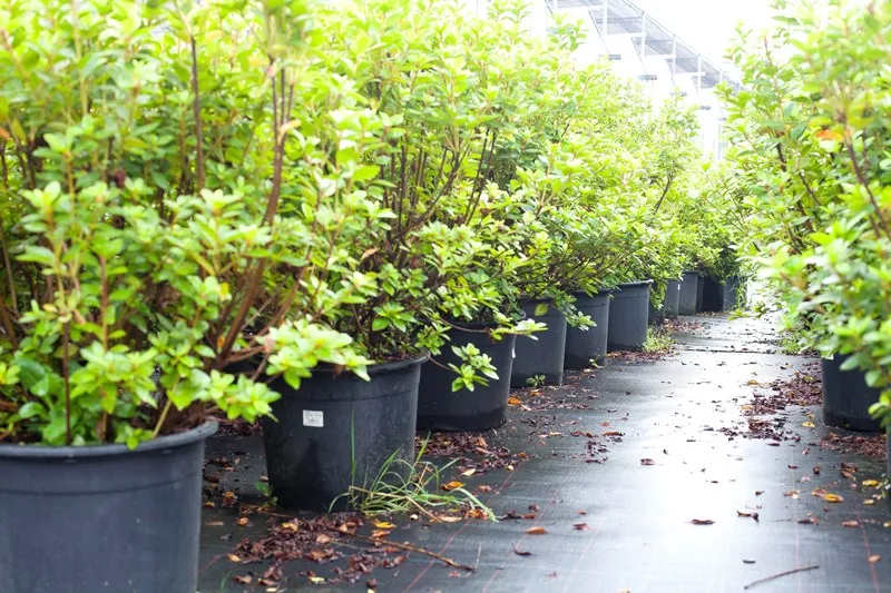 Yuncheng 25 Gallon Pot 105 Quart 100 Liter 22" Inch 57cm Blow Mold ...