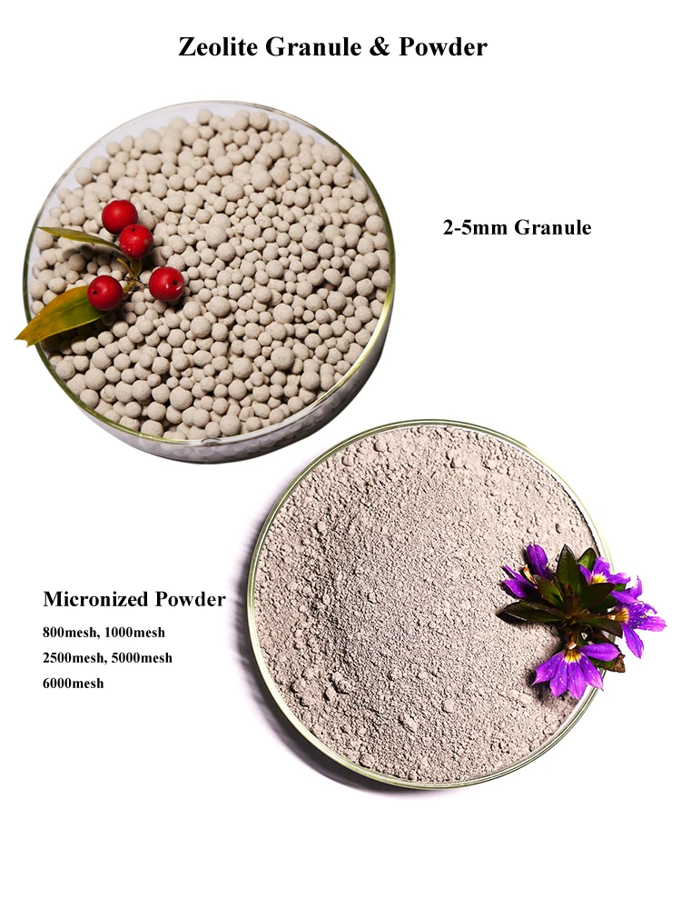 Clinoptilolite Zeolit Adsorbent Molecular Sieve Super Fine Powder Natural Fertilizer Catalyst 3a ...