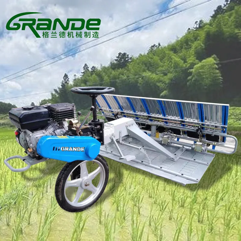 6 Row Riding On Walking Rice Transplanter Paddy Rice Planter Machine ...