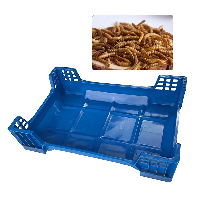 BSF Black Soldier Fly Larvae Breeding Box - Efficient Compost Bin