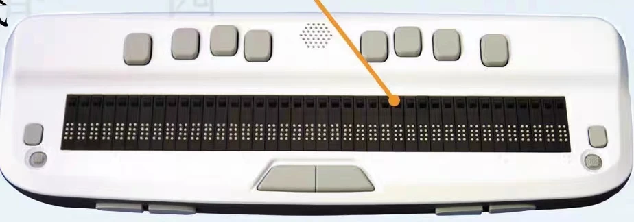 Braille Smart Switch For Blind & Low Vision Users, Oem