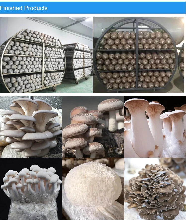 Mushroom Farming Equipment Round Mushroom Autoclave Sterilizer Retort ...
