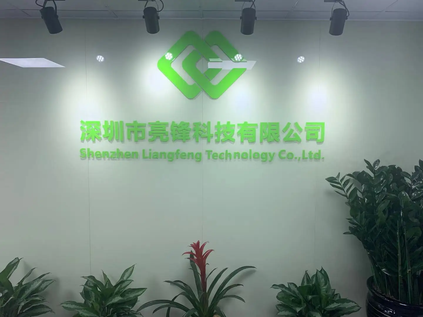 Company Overview - Shenzhen Liangfeng Technology Co., Ltd.