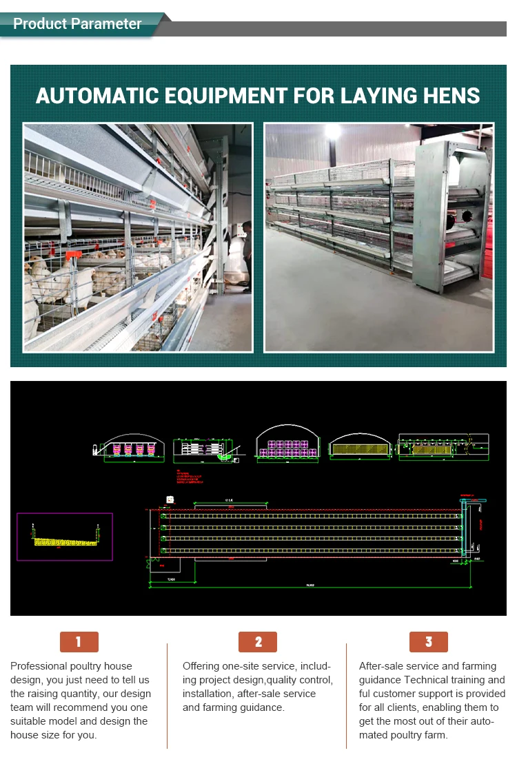 Automatic Broiler Breeding Cage System Broiler Brooding Battery Cage ...