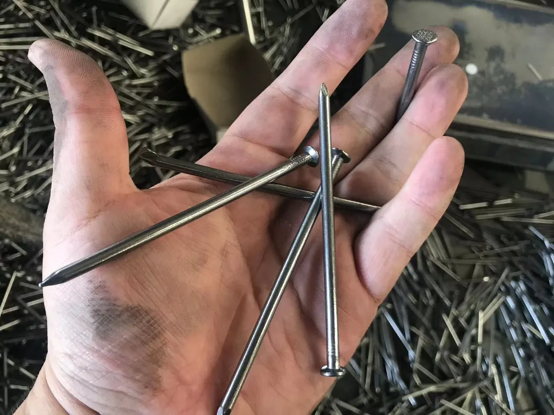 Common Nails Factory Iron Nails 1-6inchs Polished Wood Nails Price